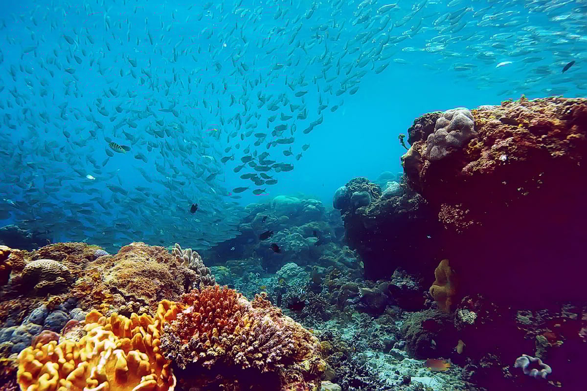 ¿Podría existir otro océano? Científicos tratan de hallarlo | Bioguia