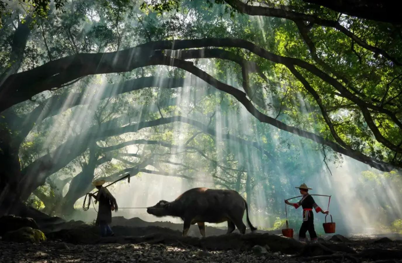 Xiapu: la ciudad que China creó para ser "instagrameable" y así atraer ...