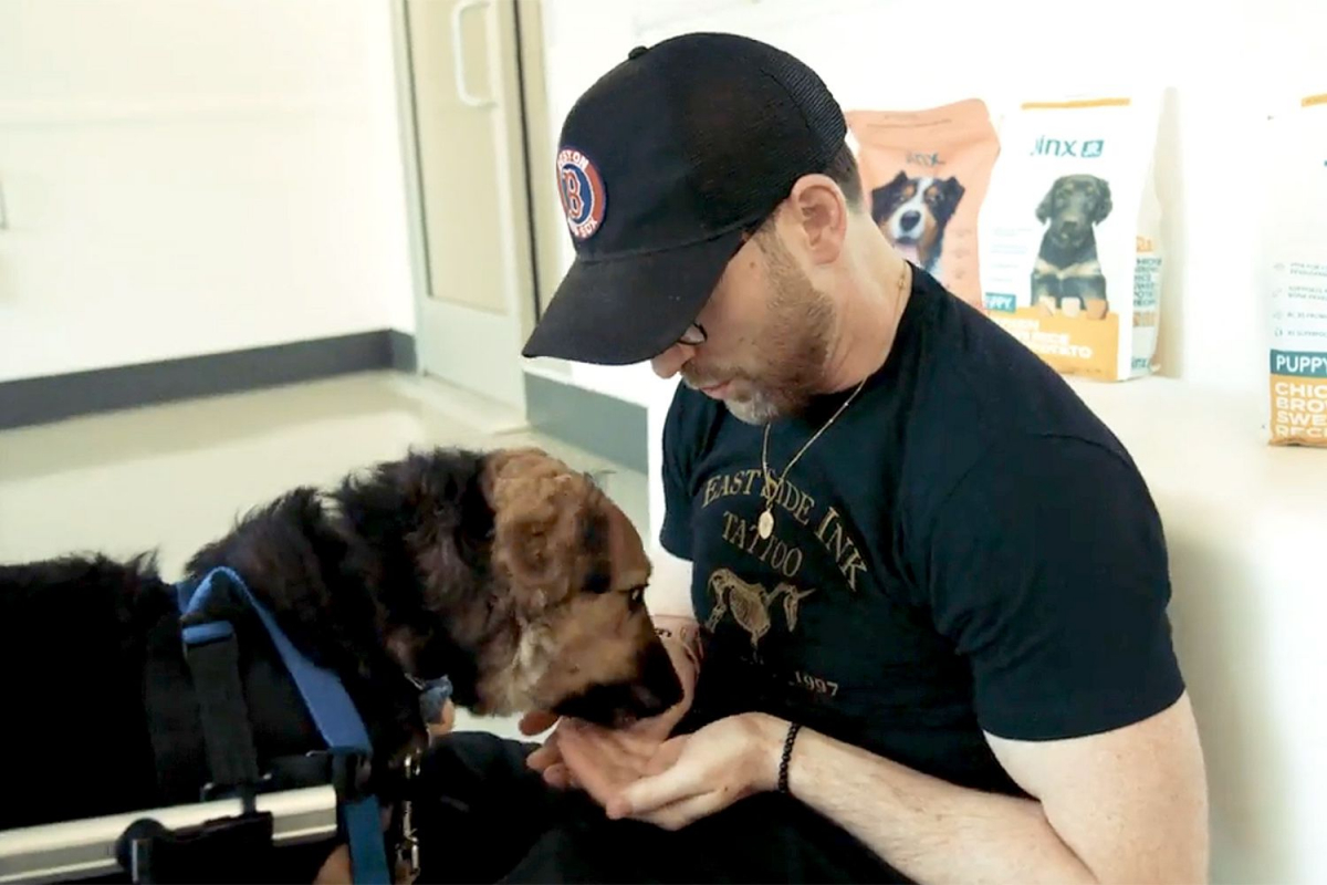 Chris Evans visitó un refugio de perros y dejó mensaje clave | Bioguia