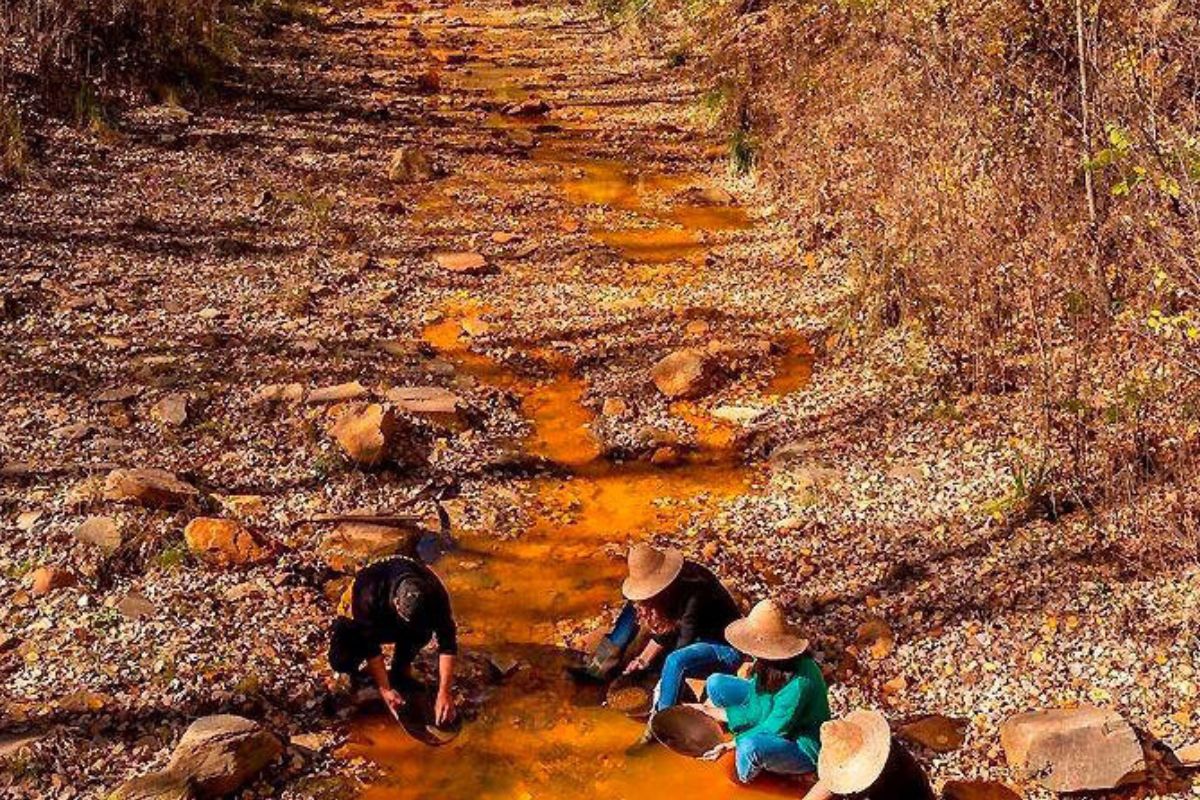 Hallan en Argentina un río lleno de oro con pepitas millonarias | Bioguia