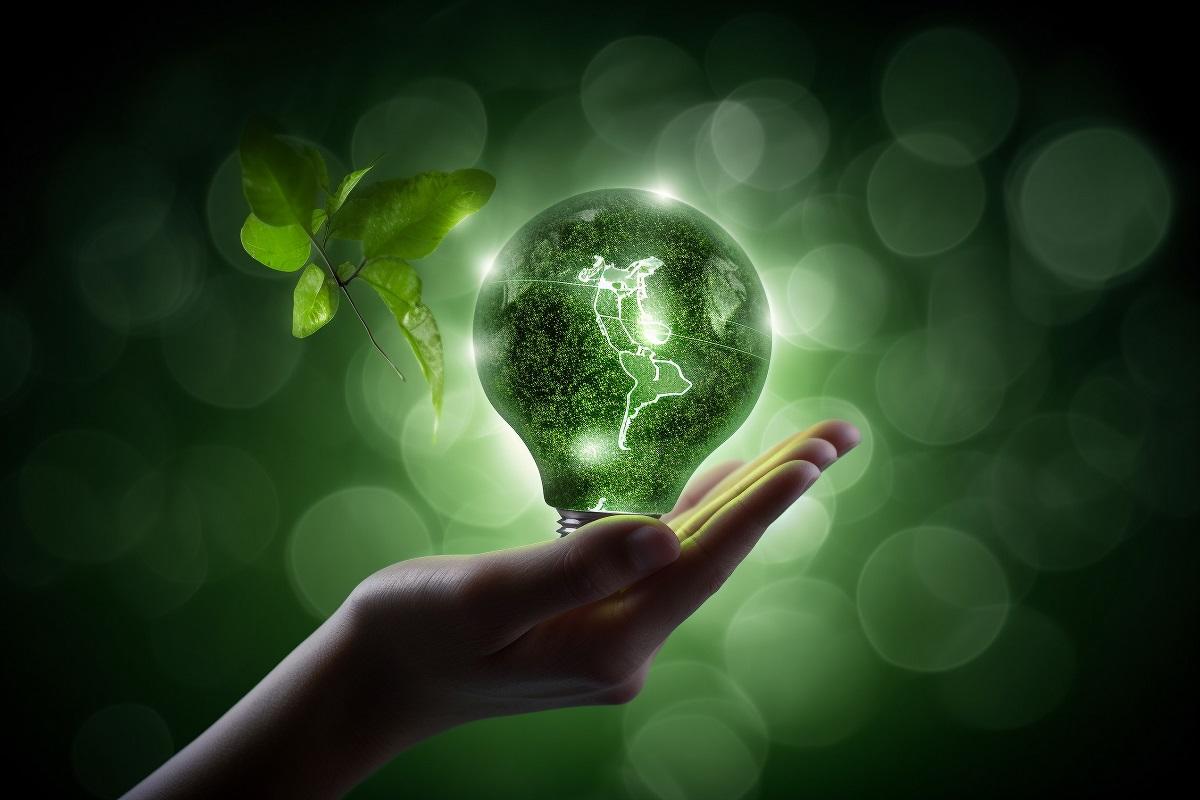 Consejos sostenibles para vivir un estilo de vida ecológico | Bioguia