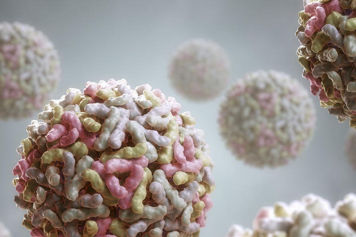 Virus Sindbis: el nuevo aviso que preocupa a Sanidad | Bioguia