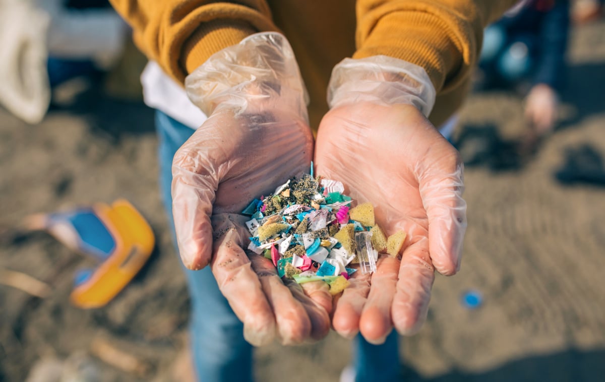 Microplásticos en los alimentos: ¿Cómo podemos reducirlos? | Bioguia